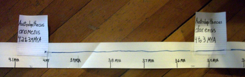 Time Claps: the first 5 million years | a year to think it over